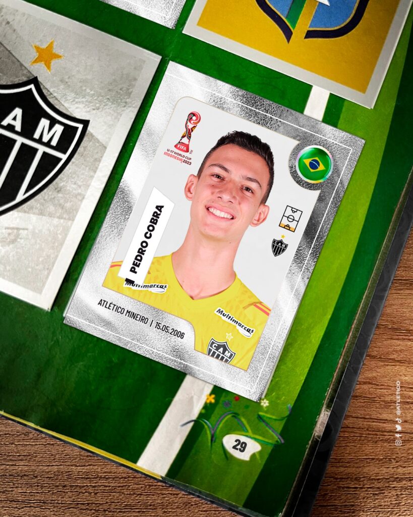 Pedro Cobra e Vitor Gabriel são convocados para a disputa do Mundial ...